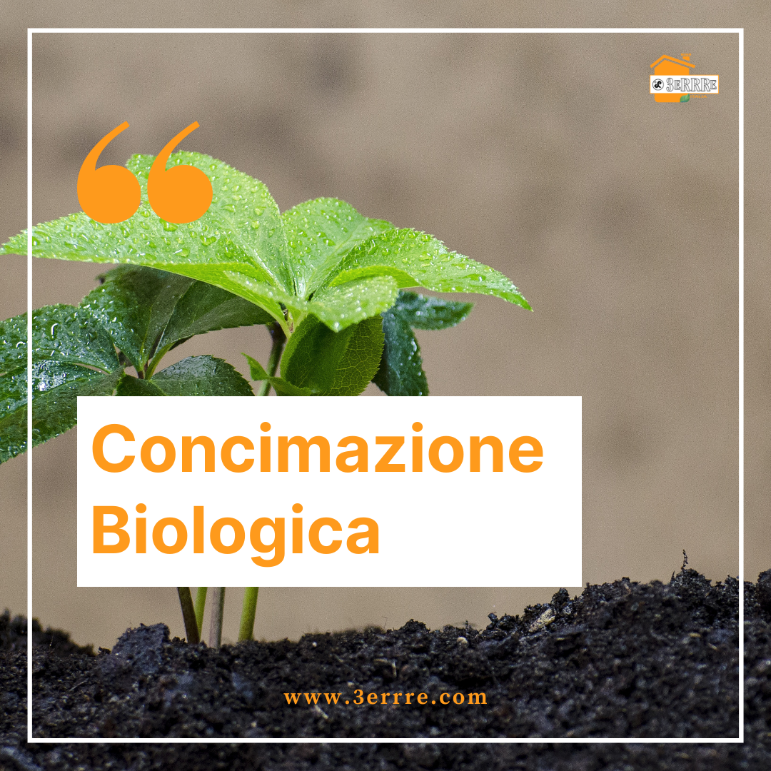 Concimazione Biologica: preparare il terreno